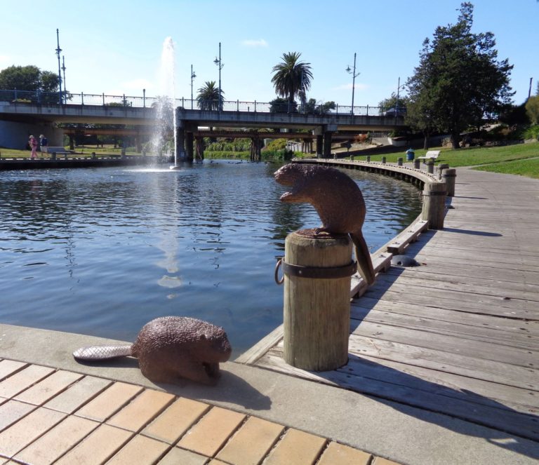 The Beavers of New Zealand – Sharing the Joys of Travel